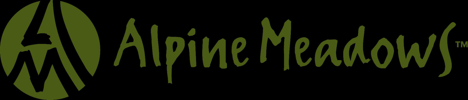 MWA Architecture - Alpine Meadows